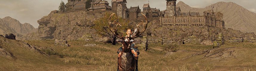 MMO Sites Can't Decide If Aeria Is Still Publishing Bless - MMOs.com